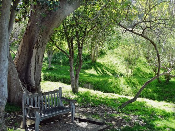 32 Best & Fun Things to Do in Riverside (CA) - The Tourist Checklist