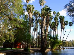 32 Best & Fun Things to Do in Riverside (CA) - The Tourist Checklist