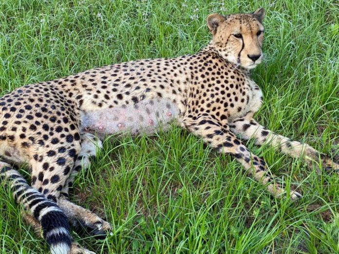 34 Best & Fun Things to Do in Gainesville (FL) - The Tourist Checklist