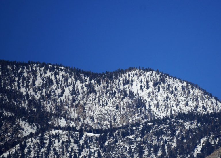 32 Best & Fun Things to Do in Riverside (CA) - The Tourist Checklist