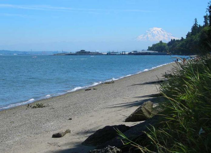 32 Best & Fun Things to Do in Tacoma (WA) - The Tourist Checklist