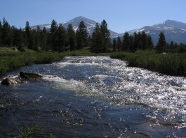 32 Best & Fun Things to Do in Modesto (CA) - Attractions & Activities