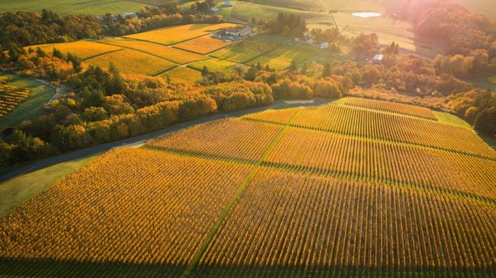 34 Best Things to Do in Salem (Oregon) - Attraction & Activities