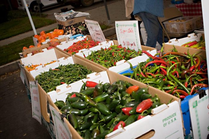 34 Best & Fun Things to Do in Modesto (CA) - Attractions & Activities