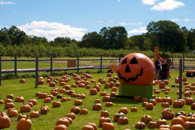 25 Best & Fun Things to Do in Danbury (CT) - Attractions & Activities