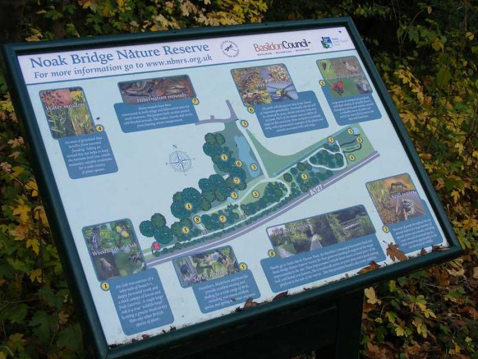 23 Best & Fun Things to Do in Basildon (Essex, England) - The Tourist ...