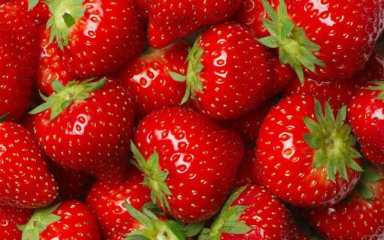 25 Best & Fun Things to Do in Decatur (AL) - The Tourist Checklist