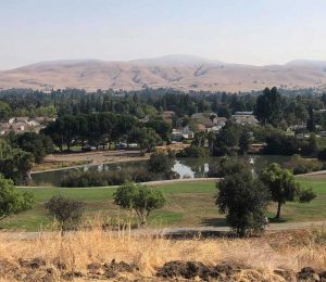 23 Best & Fun Things to Do in Walnut Creek (CA) - The Tourist Checklist