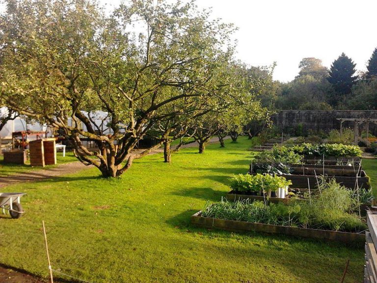 21 Best & Fun Things to Do in Ripon (Yorkshire, England) - The Tourist ...