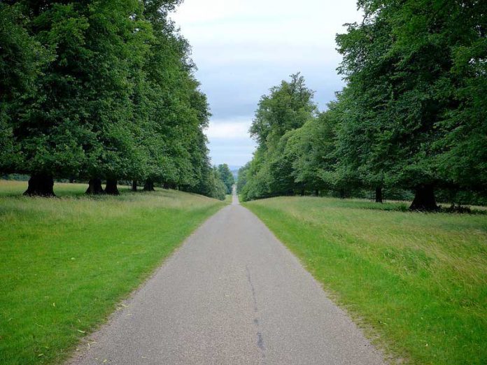 21 Best & Fun Things to Do in Ripon (Yorkshire, England) - The Tourist ...