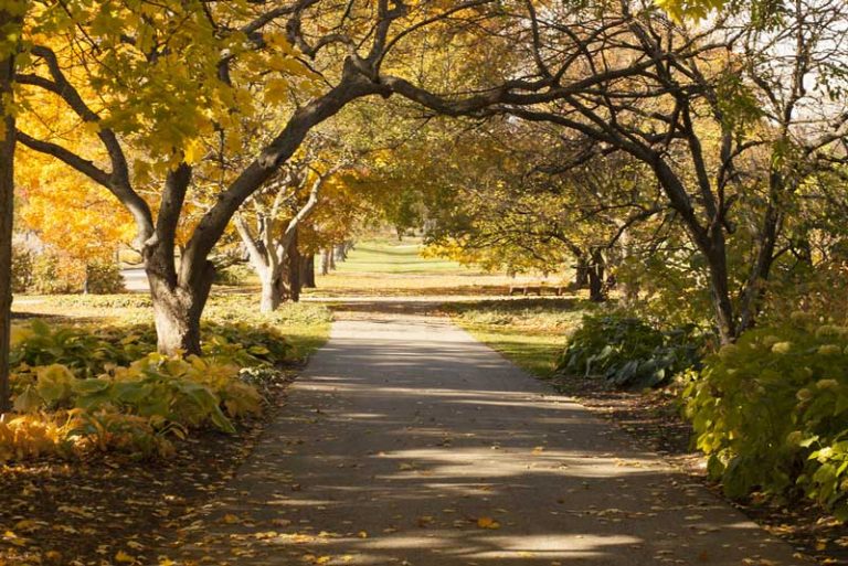 35 Best & Fun Things to Do in Naperville (IL) - The Tourist Checklist