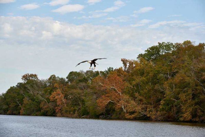 32 Best & Fun Things to Do in Richmond (VA) - The Tourist Checklist