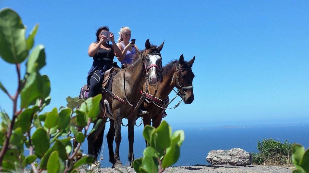 32 [Best] Fun Things to Do in Ensenada (Mexico) - The Tourist Checklist