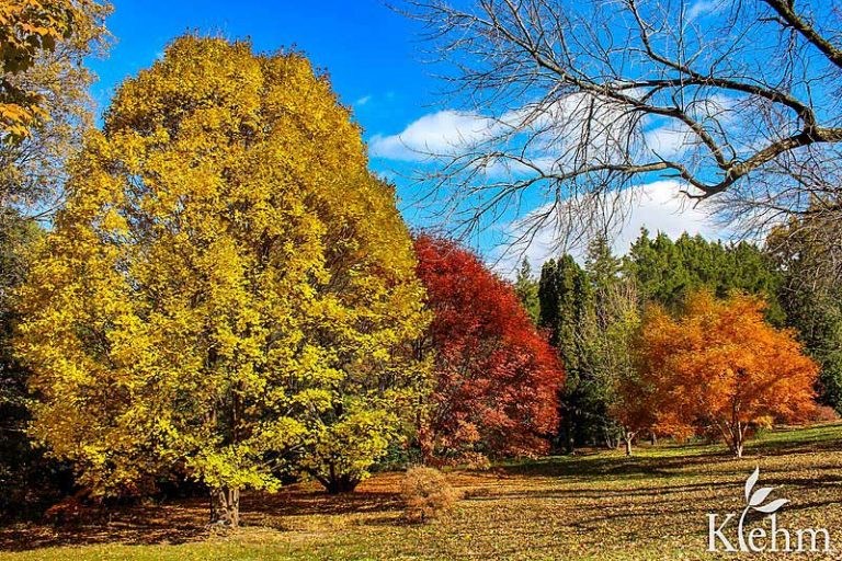 25 Best & Fun Things to Do in Rockford (IL) | The Tourist Checklist