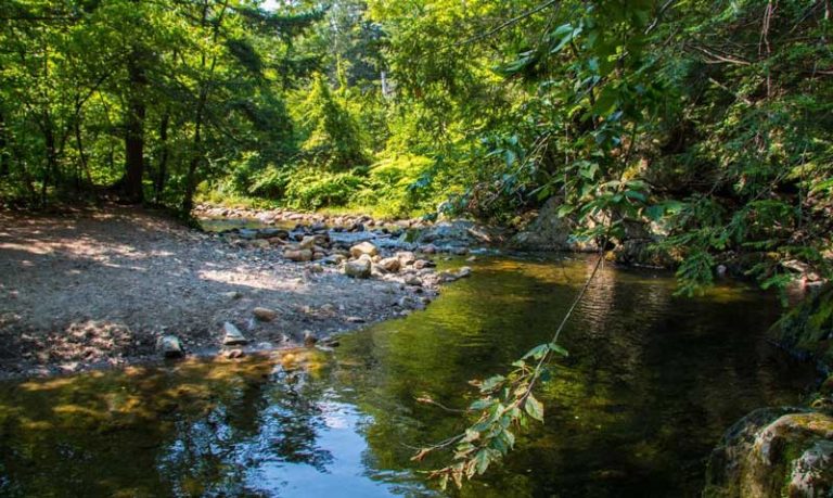 23 Best & Fun Things to Do in Brattleboro (VT) | The Tourist Checklist