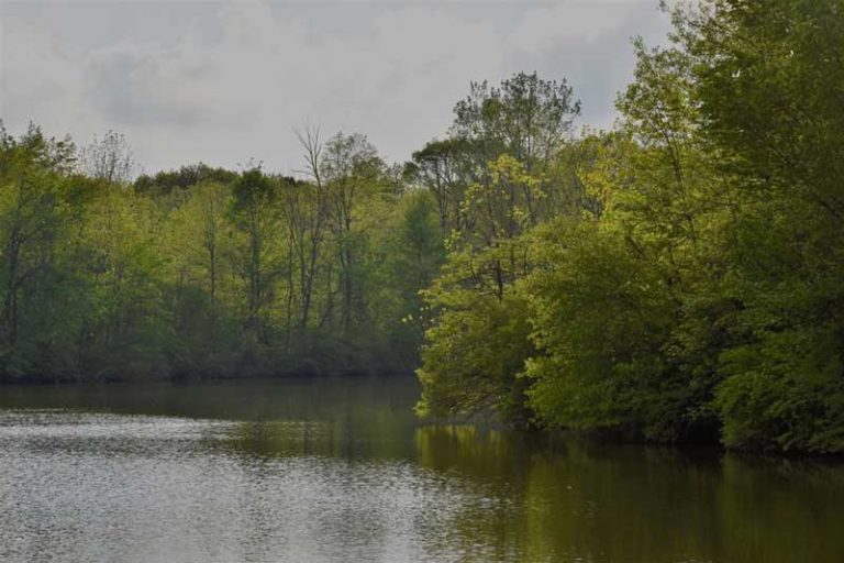 23 Best & Fun Things to Do in Findlay (Ohio) | The Tourist Checklist