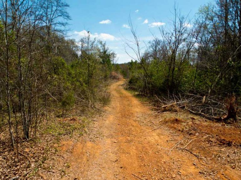 29 Best & Fun Things to Do in Anderson (SC) | The Tourist Checklist