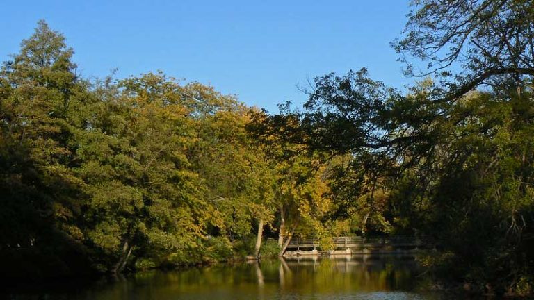 26 Best & Fun Things to Do in Champaign (IL) - The Tourist Checklist