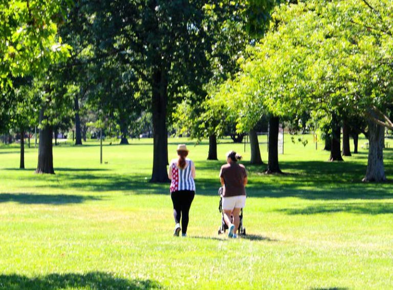 26 Best & Fun Things to Do in Champaign (IL) - The Tourist Checklist