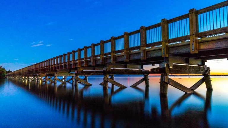 23 Best & Fun Things to Do in Bellingham (WA) - The Tourist Checklist