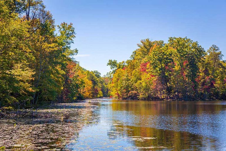 25 Best & Fun Things to Do in Kingsport (TN) - The Tourist Checklist
