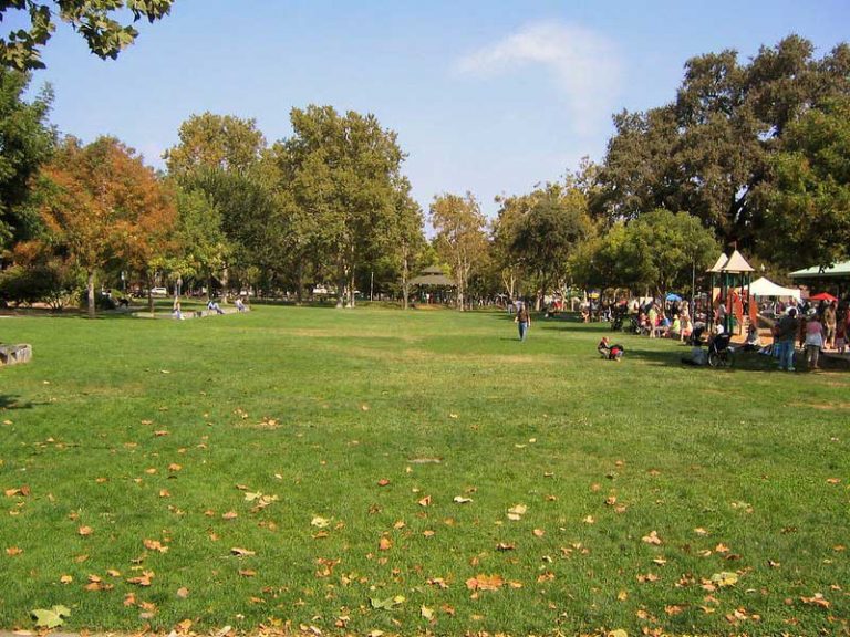 32 Best & Fun Things to Do in Davis (CA) - The Tourist Checklist