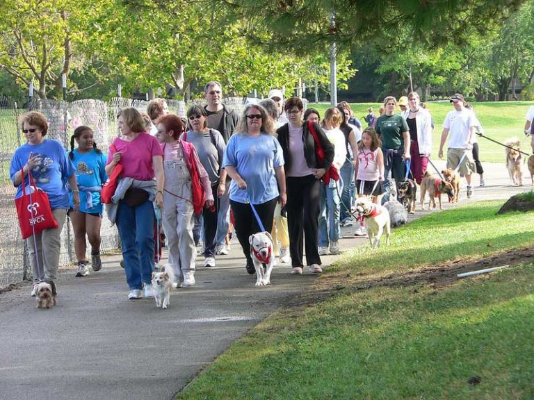 32 Best & Fun Things to Do in Davis (CA) - The Tourist Checklist