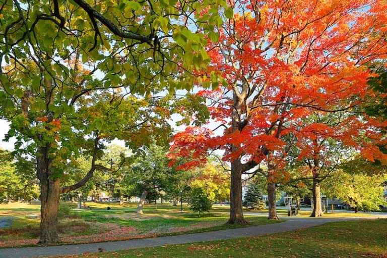 33 Best & Fun Things to Do in Worcester (MA) - The Tourist Checklist