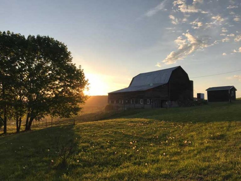 26 Best & Fun Things to Do in Corning (NY) - The Tourist Checklist