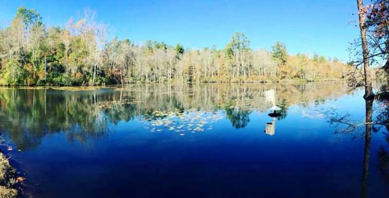 26 Best & Fun Things to Do in Aiken (SC) - The Tourist Checklist