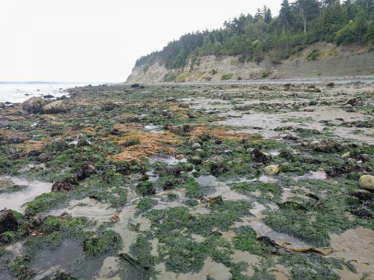 33 Best & Fun Things to Do in Port Townsend (WA) - The Tourist Checklist