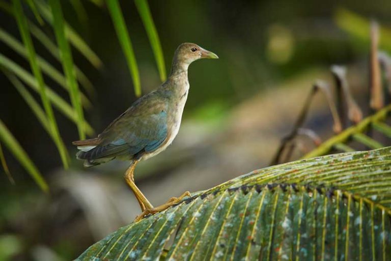 27 Best & Fun Things to Do in Trinidad (CO) - The Tourist Checklist
