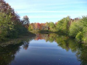 25 Best & Fun Things to Do in Keene (NH) - The Tourist Checklist