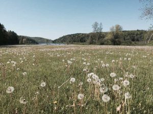 25 Best & Fun Things to Do in Keene (NH) - The Tourist Checklist