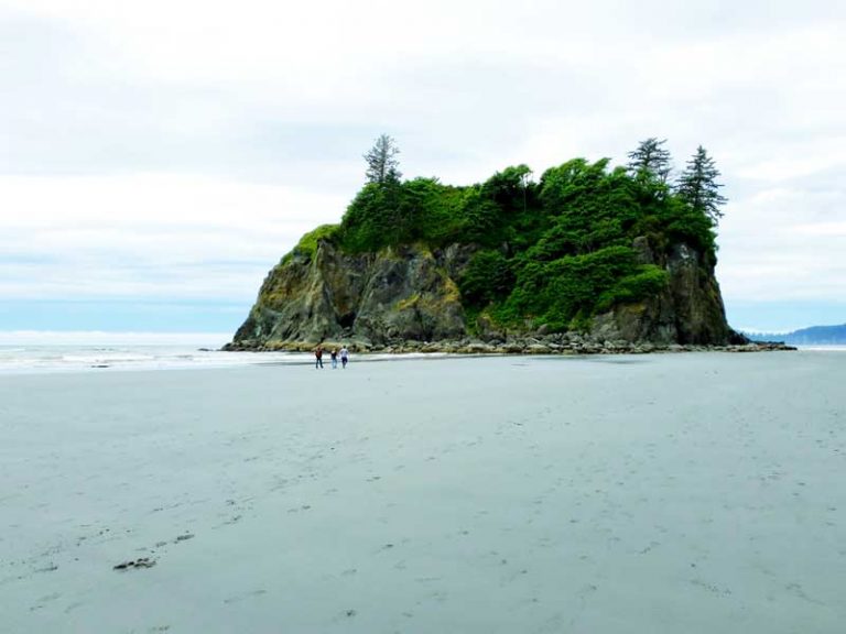 25 Best & Fun Things to Do in Forks (WA) - The Tourist Checklist