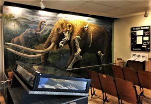 27 Best & Fun Things to Do in Sequim (WA) - The Tourist Checklist