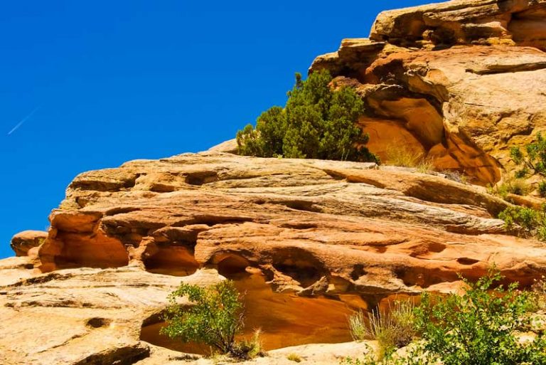 26 Best & Fun Things to Do in Montrose (CO) - The Tourist Checklist