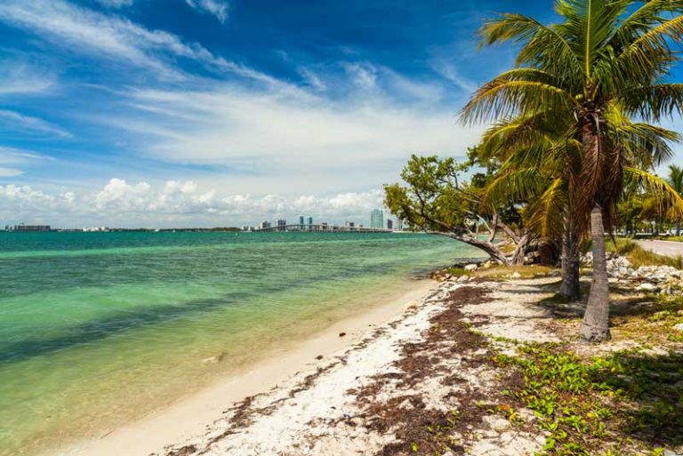 27 Best & Fun Things to Do in Key Biscayne (FL) - The Tourist Checklist