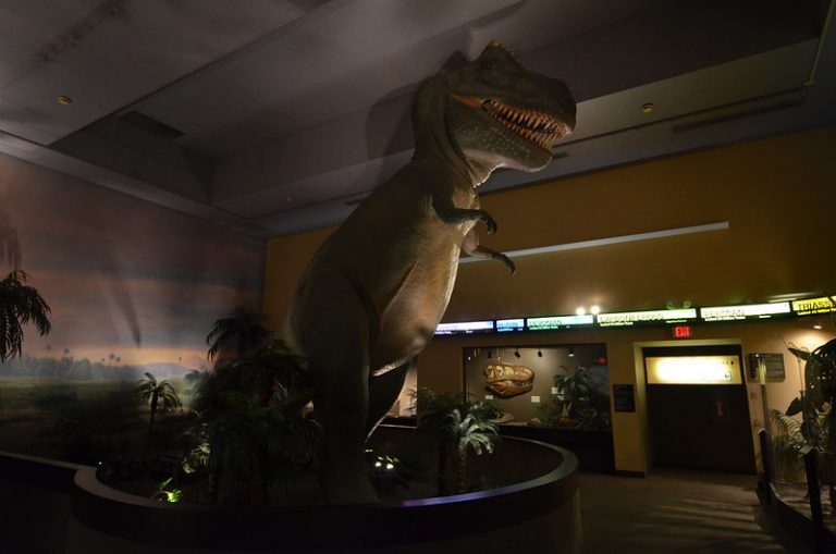 25 Best & Fun Things to Do in Springfield (MA) - The Tourist Checklist