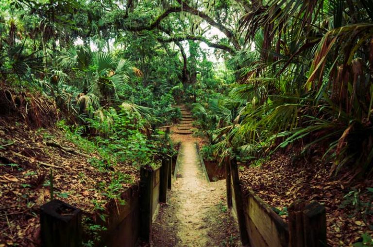 23 Best & Fun Things to Do in Titusville (FL) - The Tourist Checklist