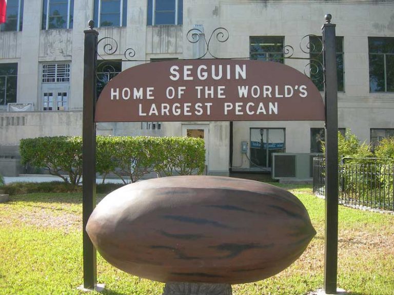 25 Best & Fun Things to Do in Seguin (TX) - The Tourist Checklist