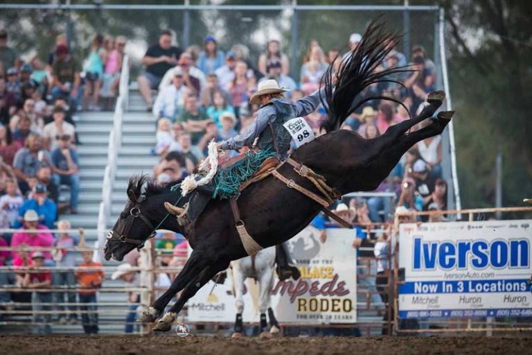 25 Best & Fun Things to Do In Mitchell (SD) - The Tourist Checklist