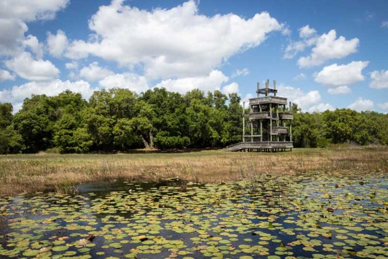 29 Best & Fun Things to Do in Spring Hill (FL) - The Tourist Checklist