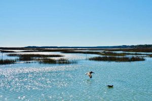 26 Best & Fun Things to Do in Murrells Inlet (SC) - The Tourist Checklist