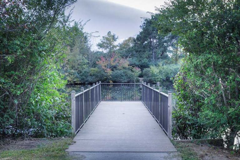 25 Best & Fun Things to Do in Lawrenceville (GA) - The Tourist Checklist