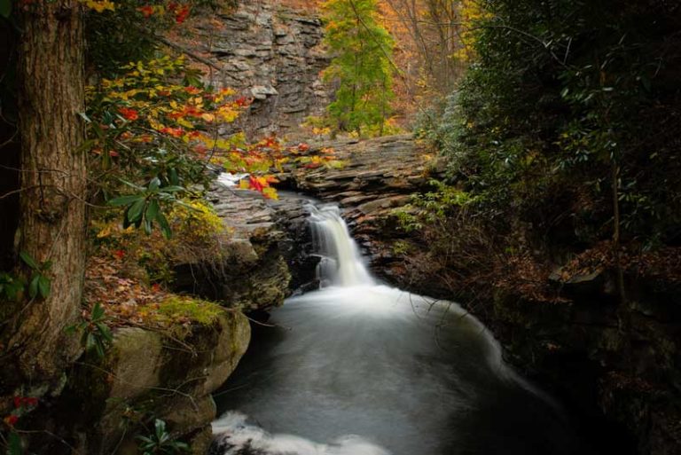 29 Top Fun Things to Do in Scranton (PA) - The Tourist Checklist