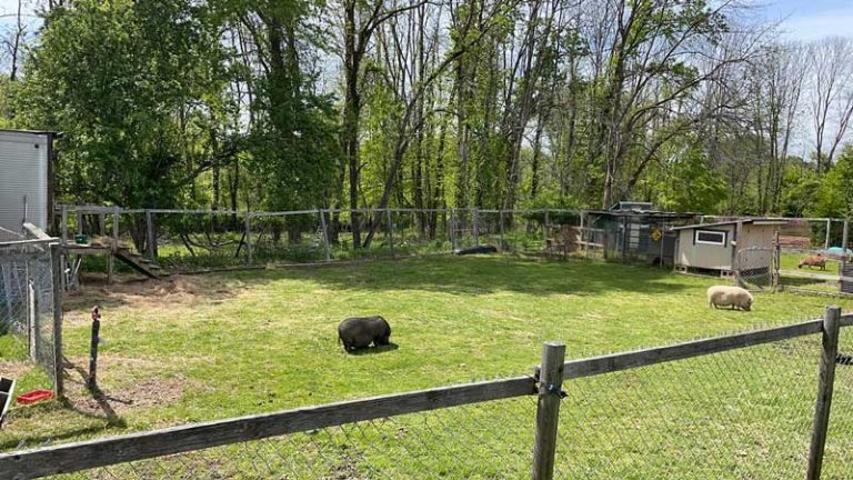 25 Best & Fun Things to Do in Edison (NJ) - The Tourist Checklist