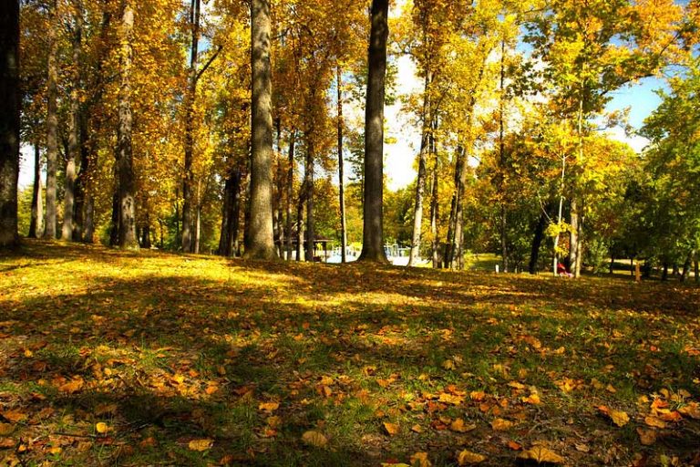 26 Best & Fun Things to Do in Silver Spring (MD) - The Tourist Checklist