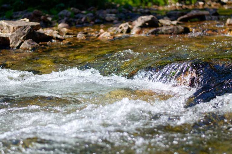 27 Best & Fun Things to Do in Corvallis (OR) - The Tourist Checklist
