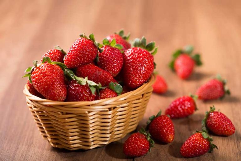 27 Best & Fun Things to Do in Spring (TX) - The Tourist Checklist